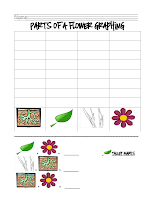 Estes Extras: Graphing Plants