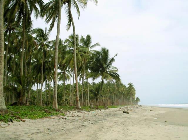 Playa de Cojimíes Manabí turismo aventura