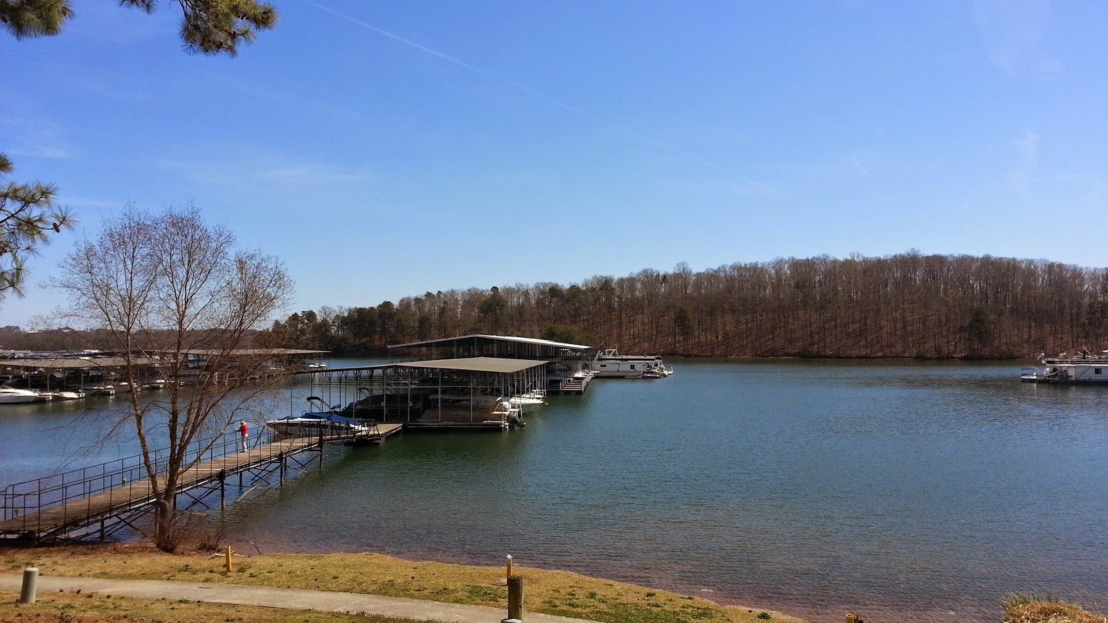 Lake Sidney Lanier Homes Blog: A Few Early Spring Photos Of Bald Ridge ...