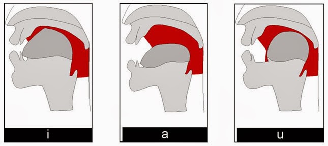 MICRÓFONO VIRTUAL: 2014-02-16