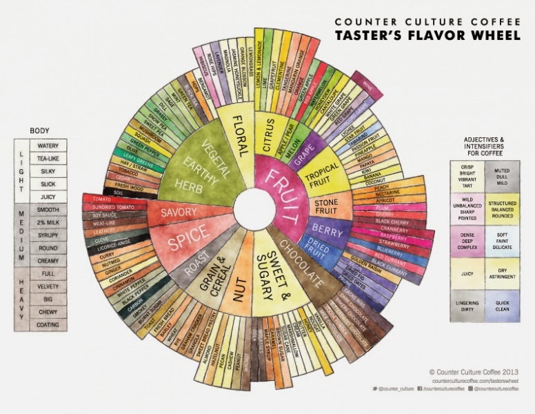 Bakáu: Nueva rueda de descriptores de sabor del Café