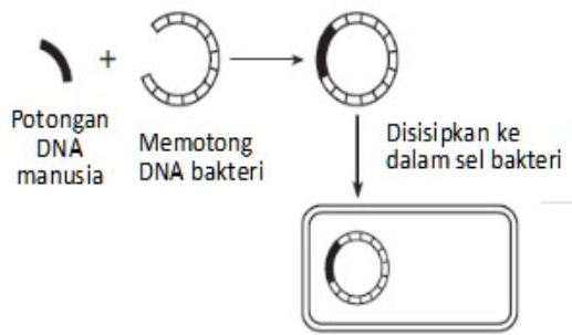 19+ Rekayasa Genetika Adalah, Inspirasi Baru!