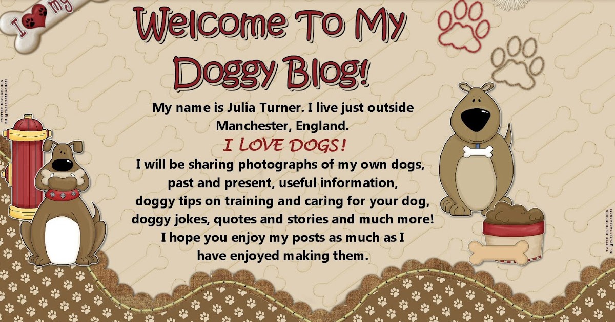 EVERYTHING you need to know about dogs: Welcome to my blog!