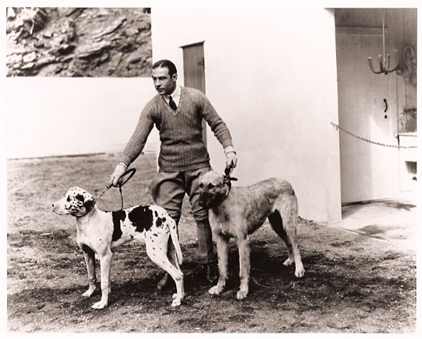 Tales of a Madcap Heiress: Stars with Dogs