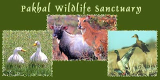 Pakhal Wildlife Sanctuary | AP Heritage