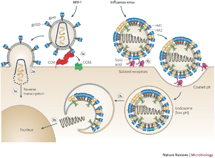 Stuart's Science: November 2012