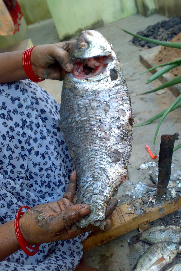 Attamma Hut: How to Make a Tasty Andhra Fish Curry