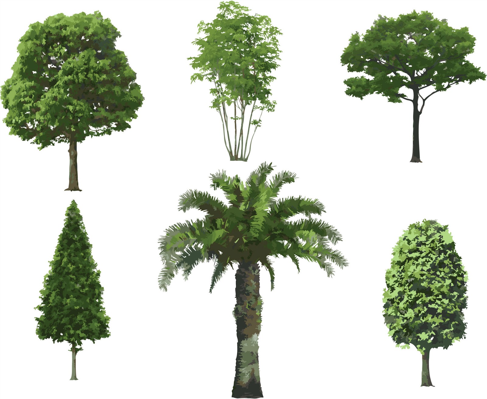 Editor audiovisuals el templat: Arboles en vector