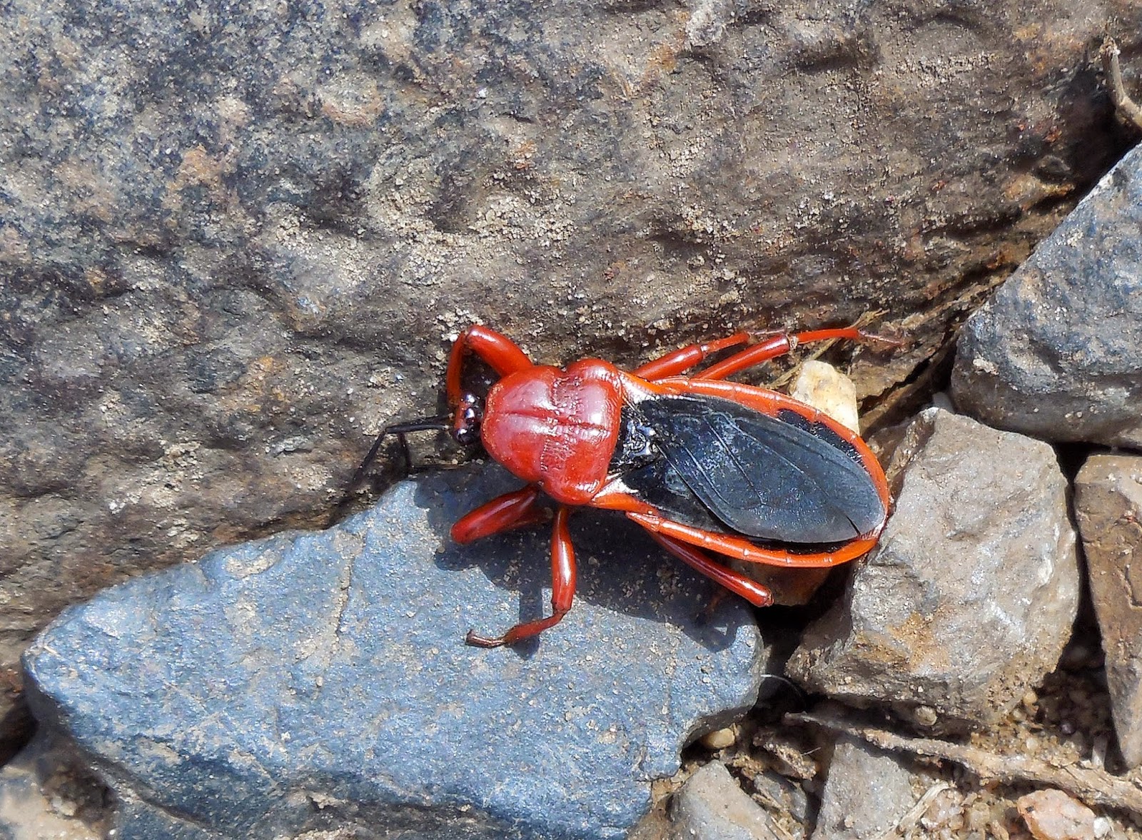 Ghana On-a Mission: August 2014