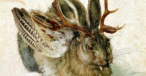 Guachos Vermelhos: Caçar gambuzinos...