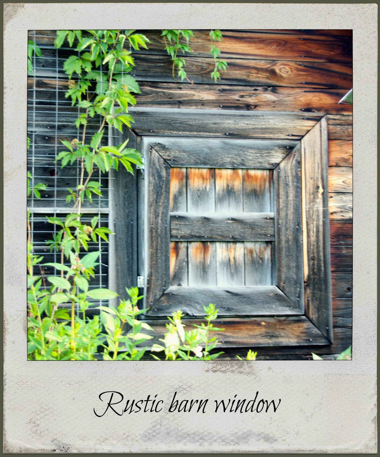 That Country Place: Mountain Barn Charm