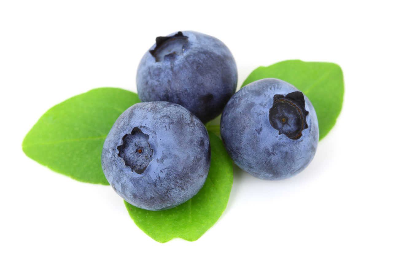 Bacon's Select Produce: Moving into Blueberry Season