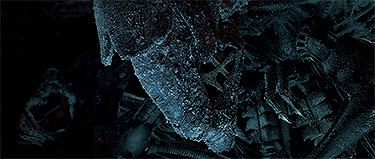 Has Alien vs. Predator (2004) aged all that well? - Page 2