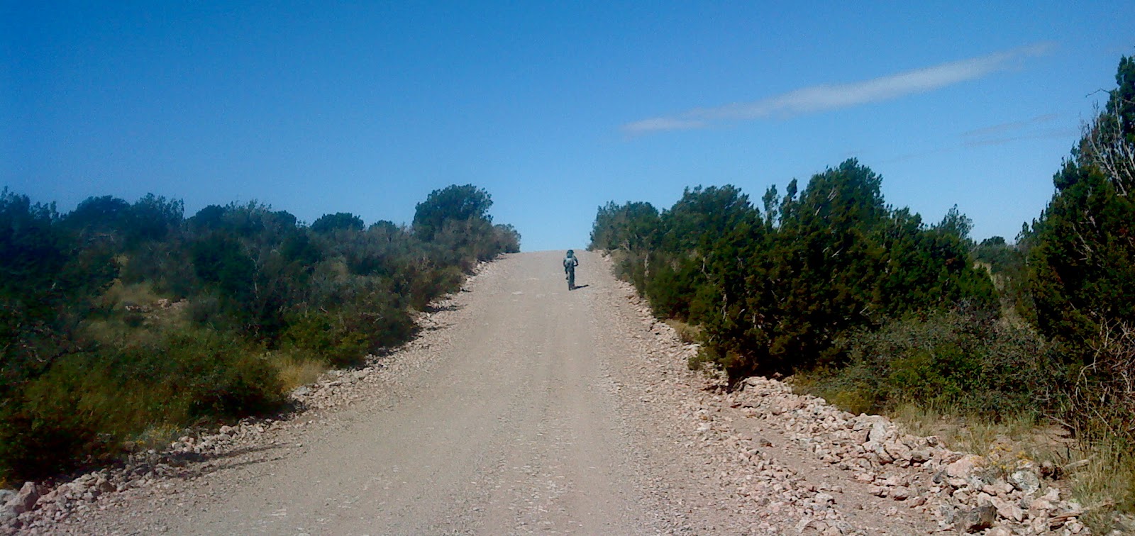 Red Rock World: Coconino 250