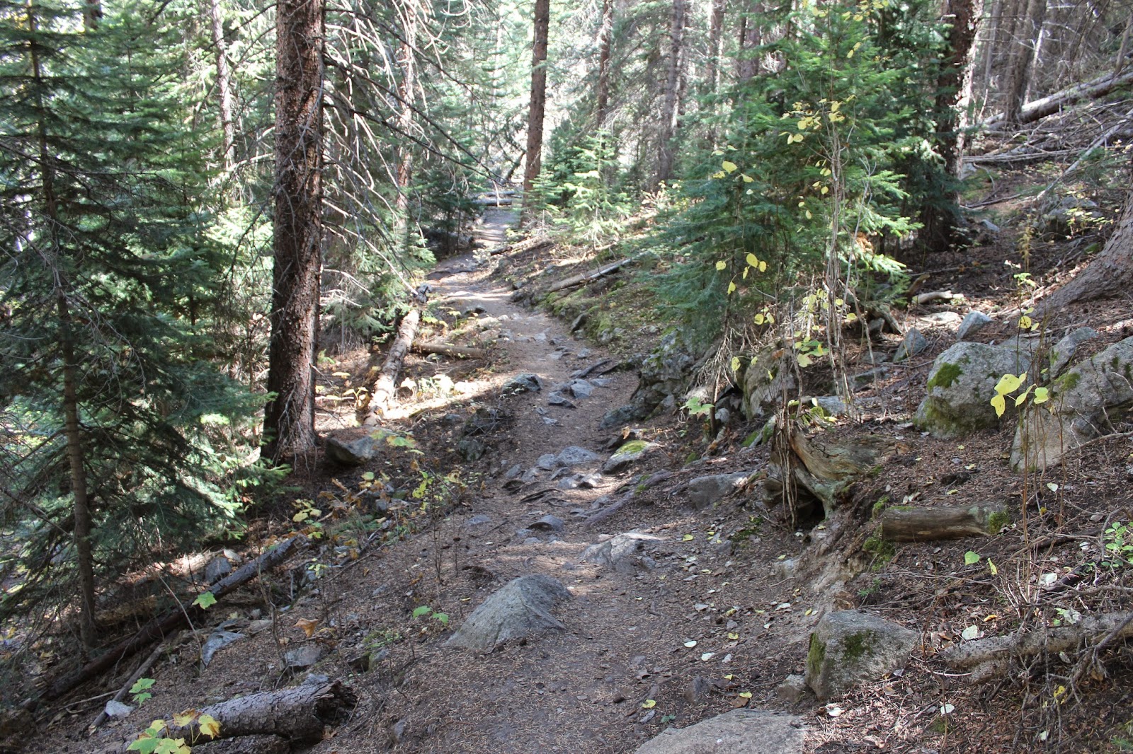 gjhikes.com: Roaring Fork River Trail