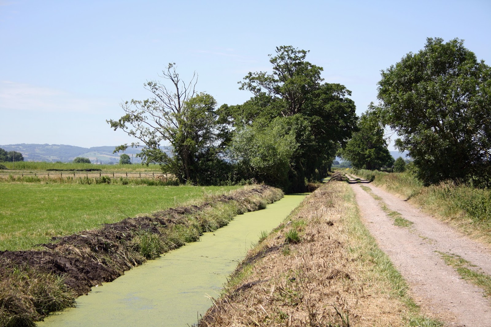 Views from Somerset: The Battle of Sedgemoor near Westonzoyland in ...