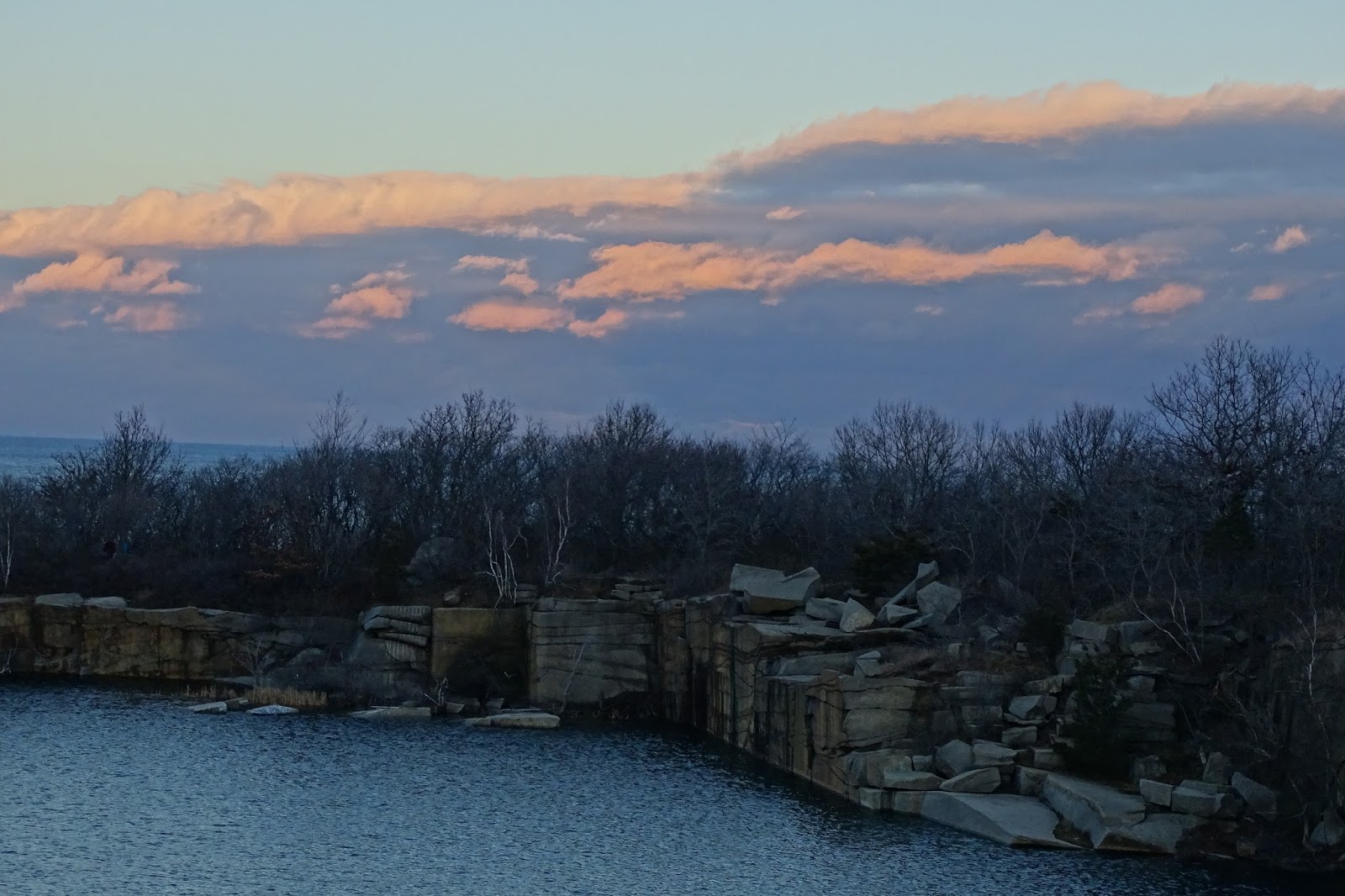 Notes from Halibut Point: January 2016
