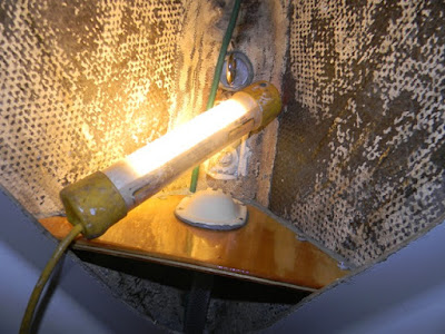 Ericson 25, Oystercatcher: Anchor, Chain Locker, and Anchor Roller ...