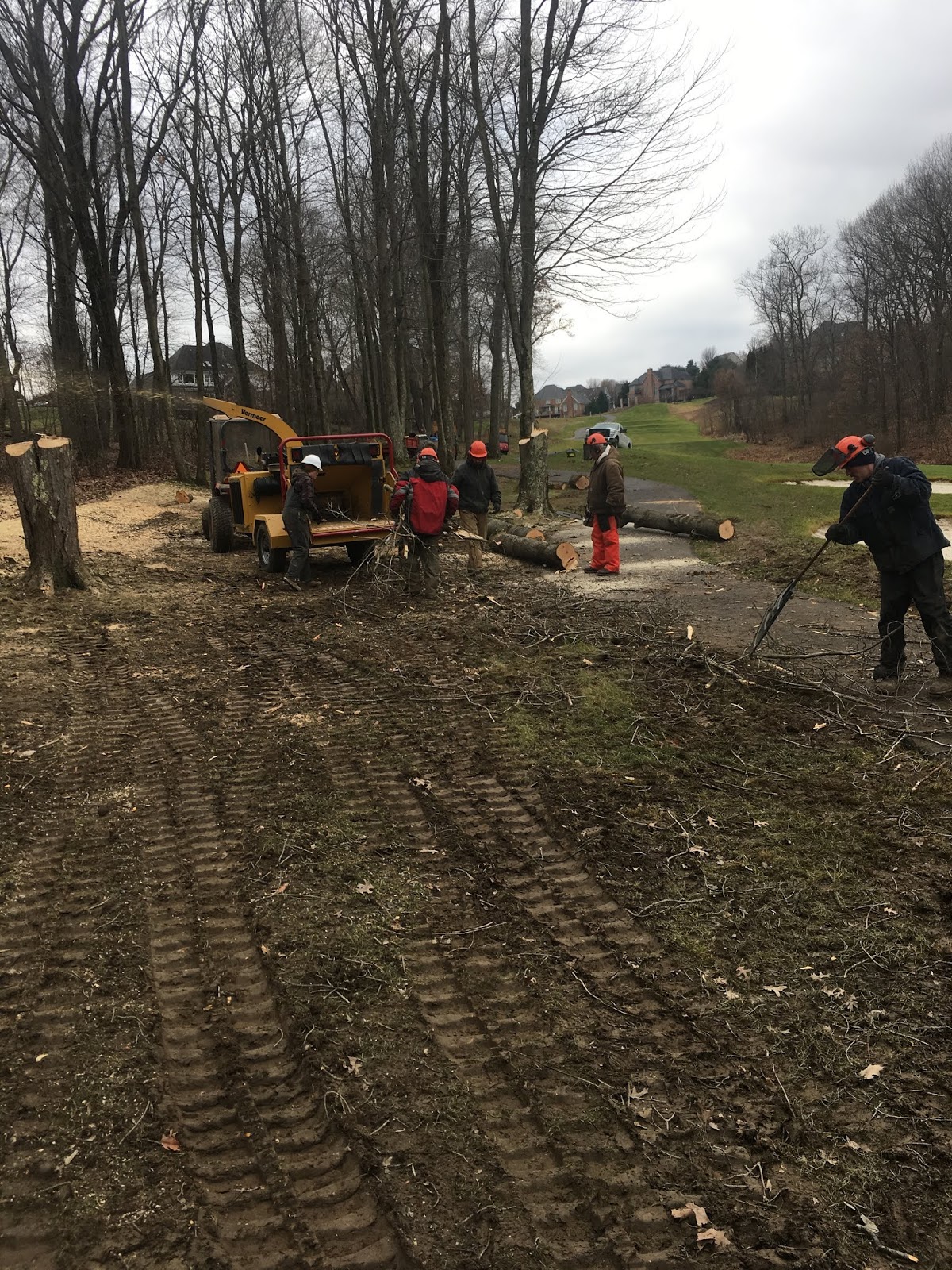 Treesdale Golf and Country Club Golf Course Maintenance: Course Update ...