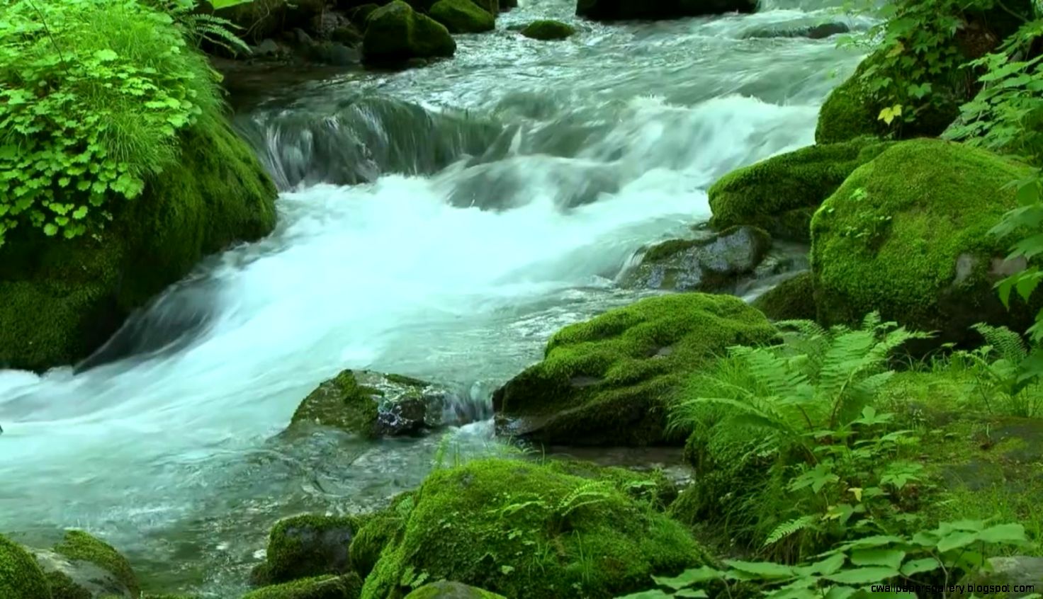 Flowing River Animation | Wallpapers Gallery