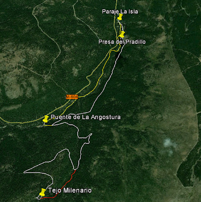 RascafriaNaturalezayPaisaje: Sitios de Interés > Tejo Milenario