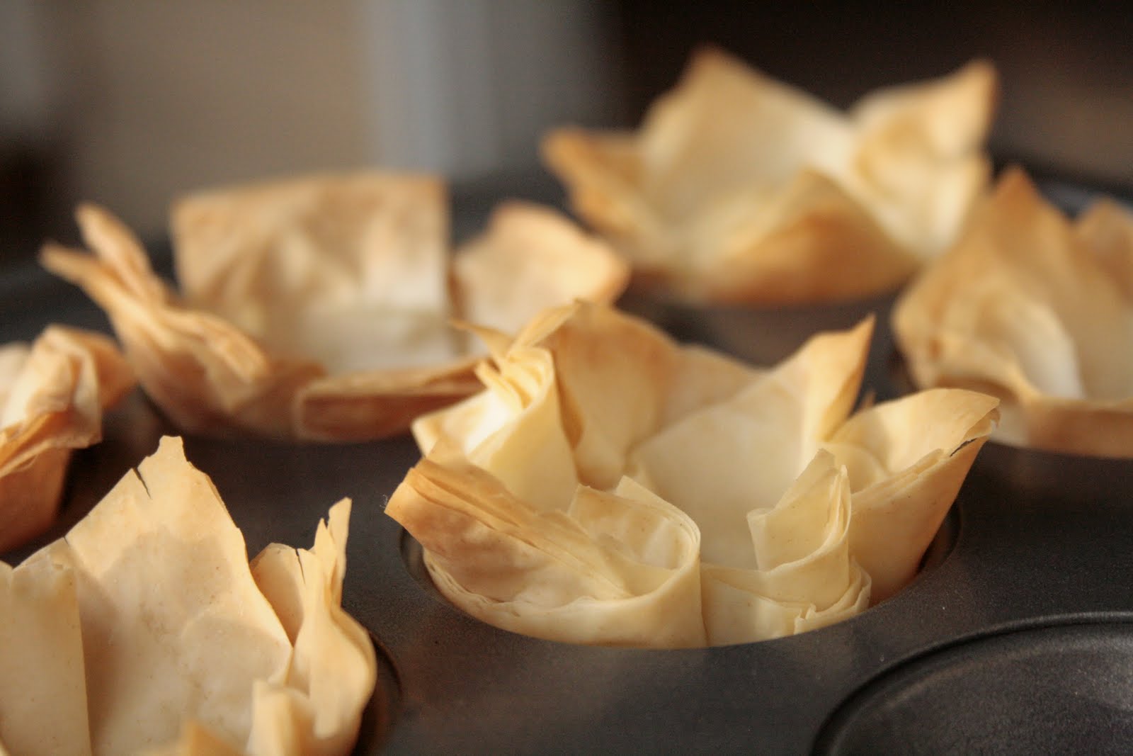 Salt.Pepper.Chili: Phyllo Cup Appetizers - A Gourmet Finger Food