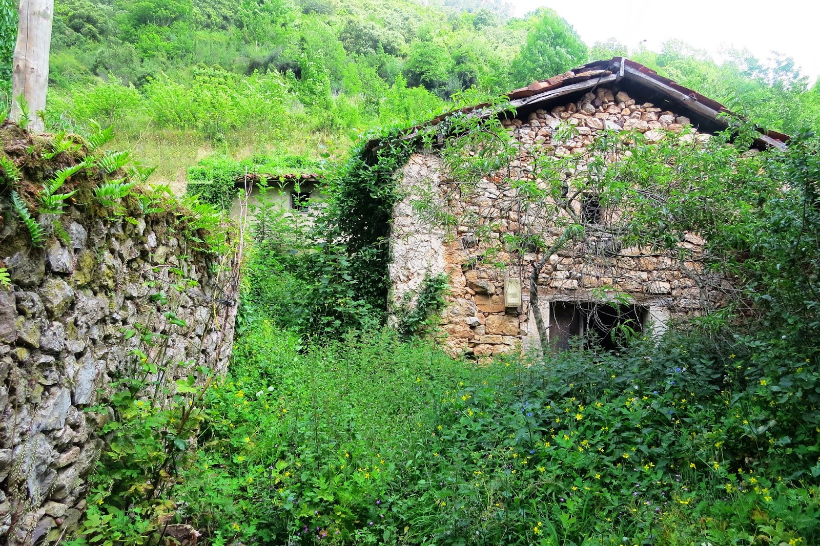 Agüera-La Arena-Agüerina (Concejo de Belmonte de Miranda)