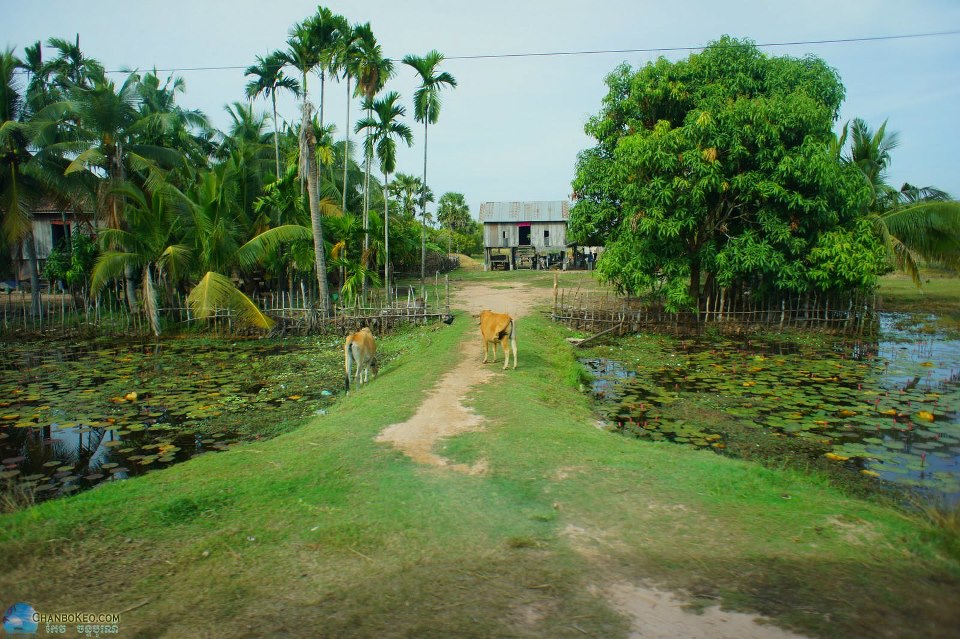 HAN, Lead Right : Cambodia's Countryside