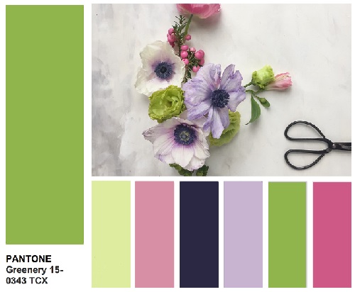 Pretty Kitty : Pantone Color Report for Spring 2017
