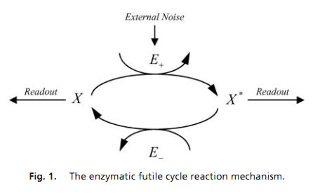 Synthetic Daisies: Modeling Processes with No Beginning, an Adaptive ...