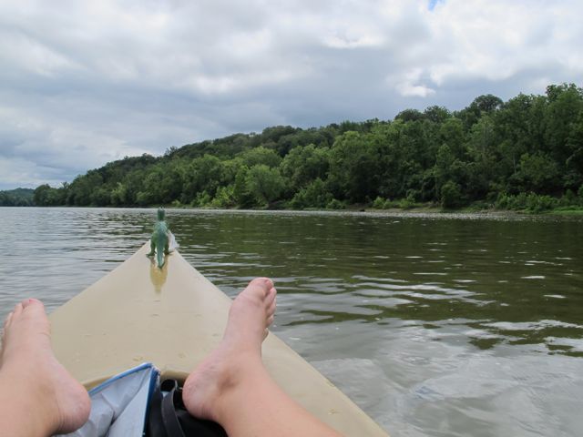 Julie Zickefoose on Blogspot: Zick Does the Muskingum!