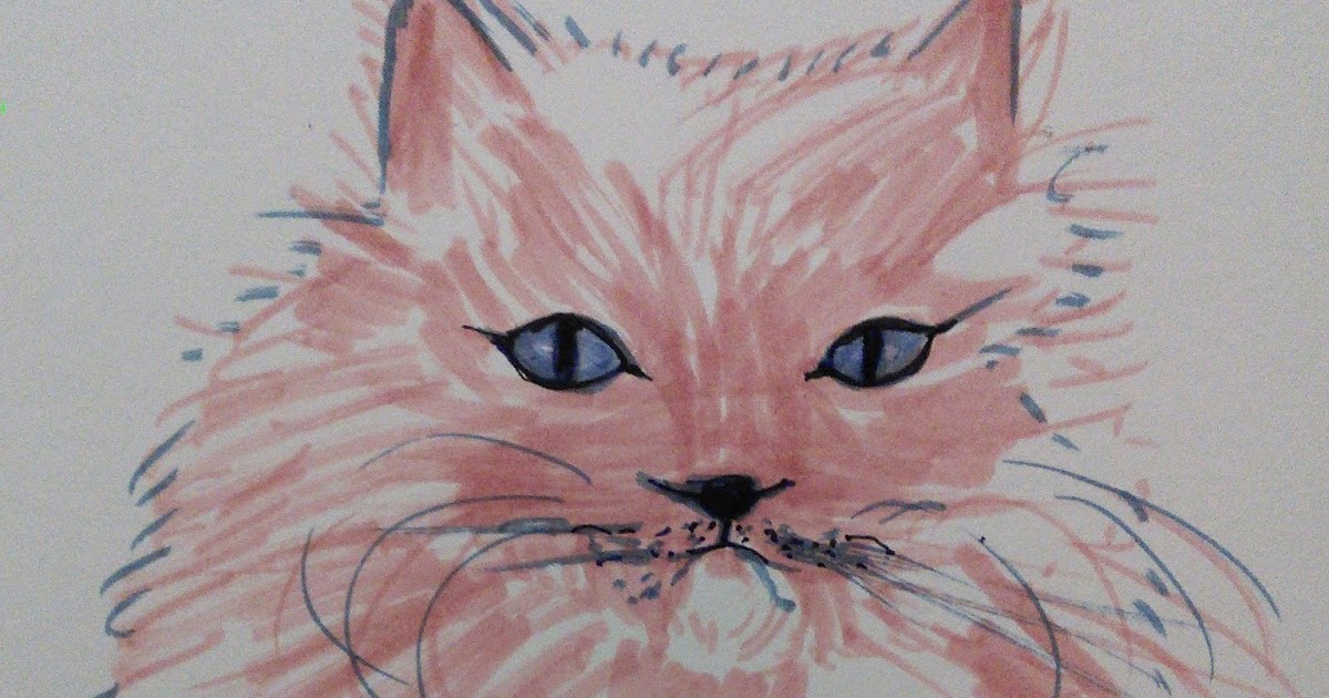 Create A Drawing A Day: Cat