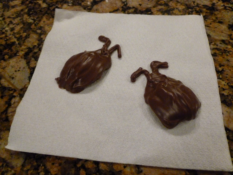 In the Kitchen with Harry Potter: Cockroach Clusters