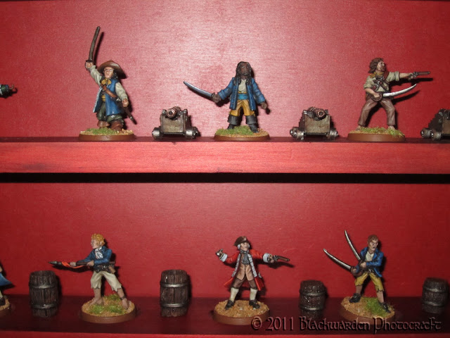 Blackwarden: Inexpensive Miniature Display Solution