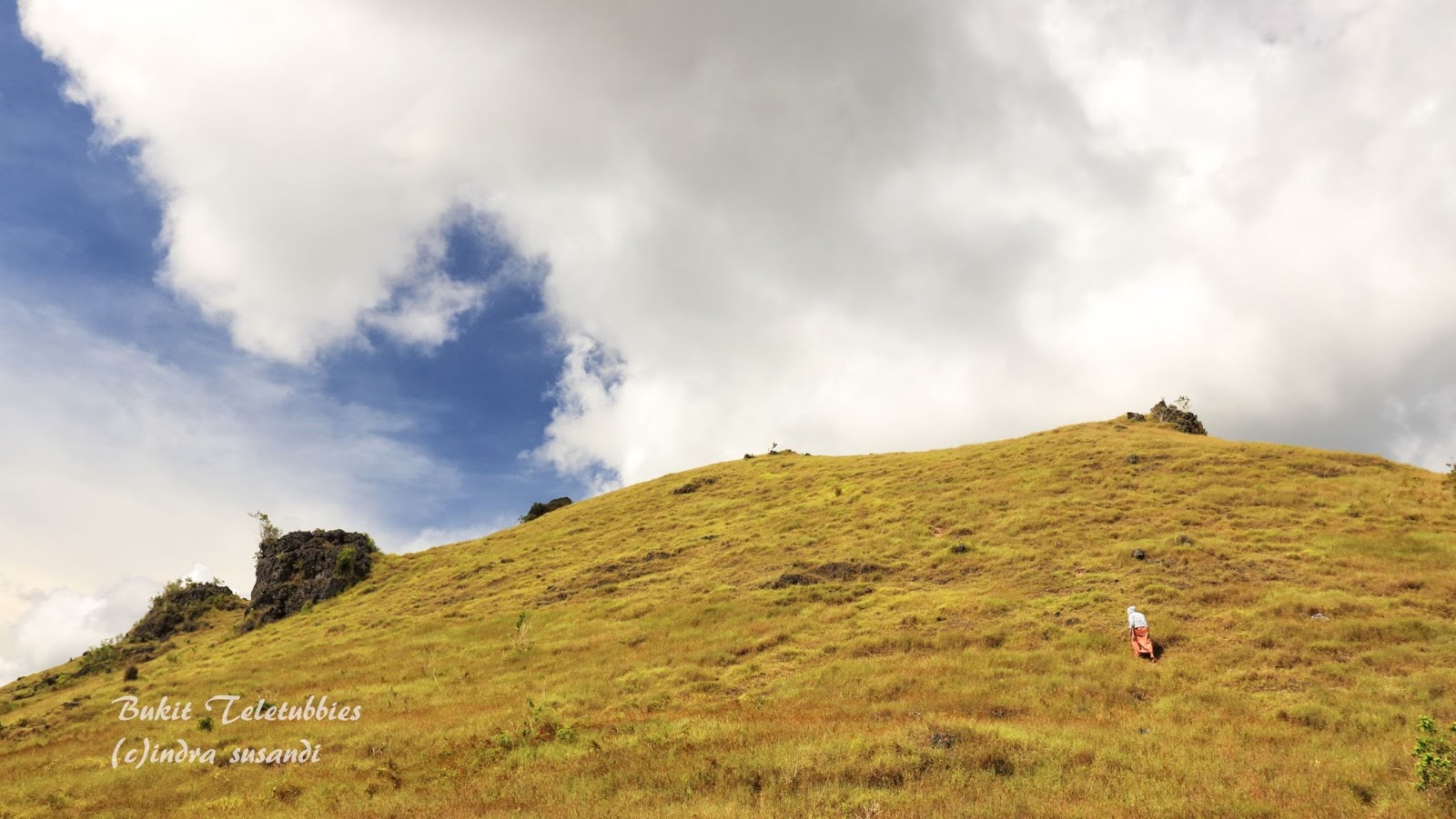 Jelajah Pulau Buton Bagian VI: Bukit Rongi atau Bukit Teletubbies