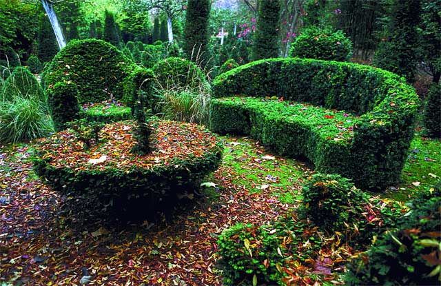 Art Gallery 4 U: Topiary / Arta topiară