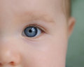 They are your life: Baby's Eye