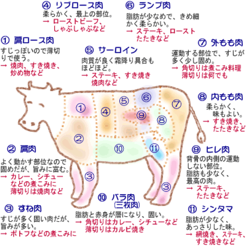 A Little Different Perspective...: Beef - different parts in English ...