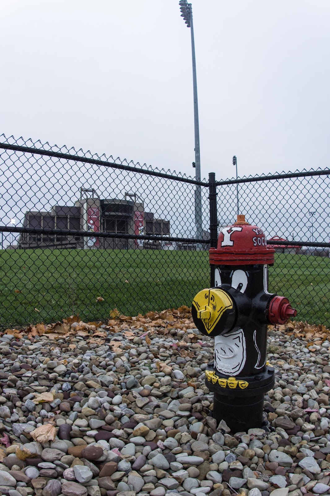 Buffalo and Beyond: Youngstown University Fire Hydrant