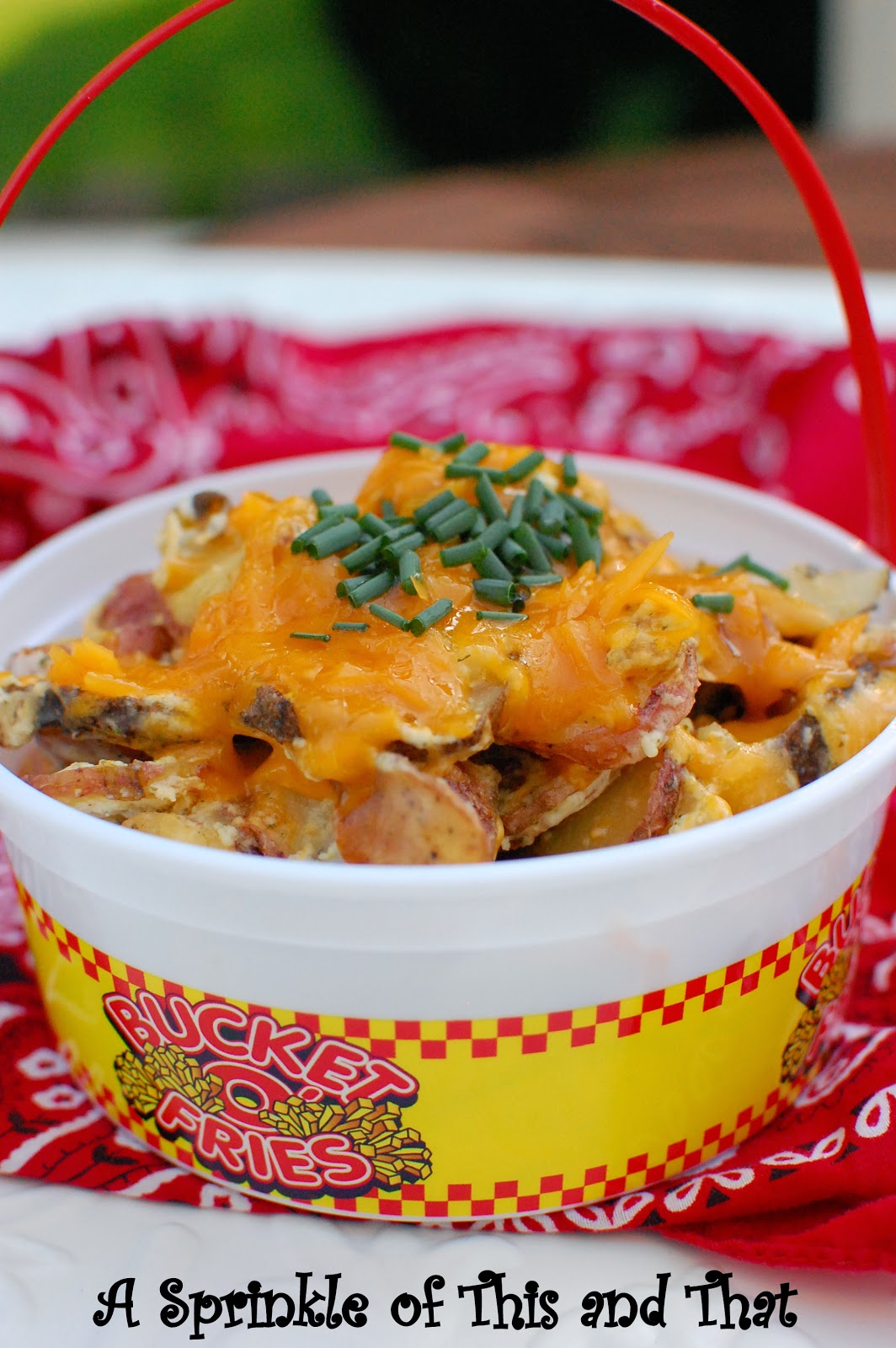 A Sprinkle of This and That: Bucket O'Cheesy Fries