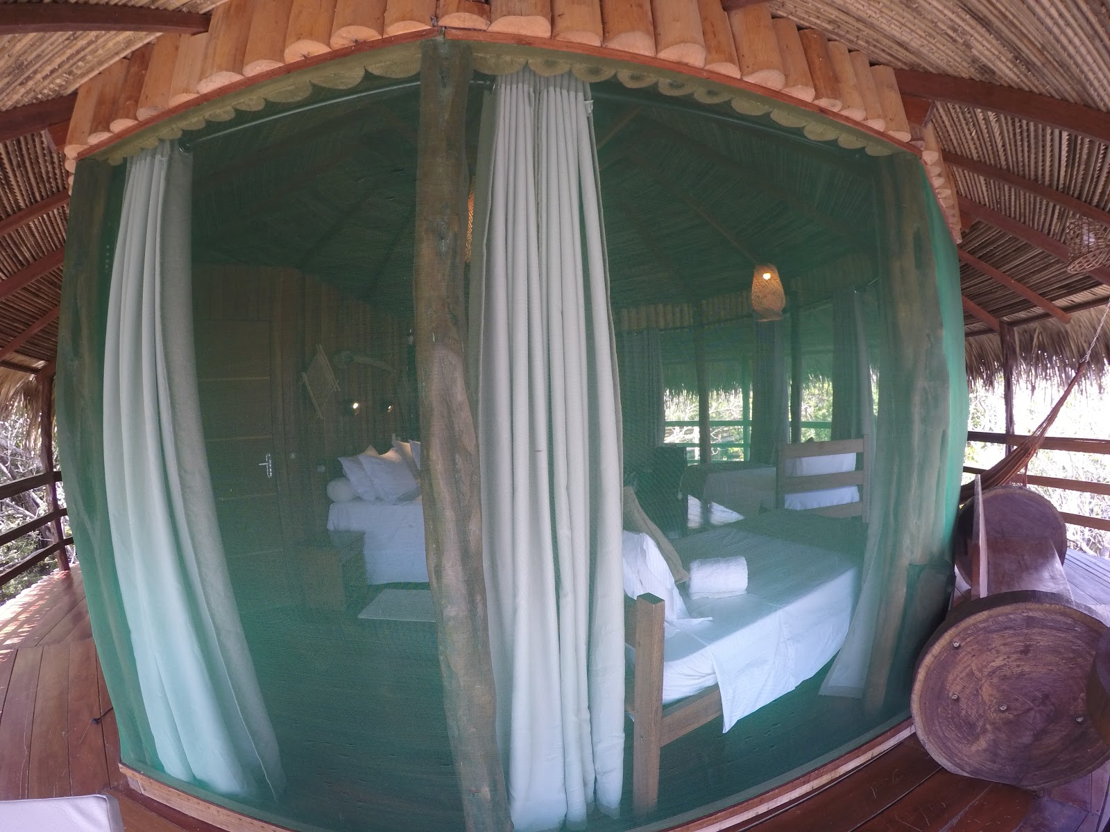 Juma Amazon Lodge: a primeira vez na Floresta Amazônica a gente nunca ...