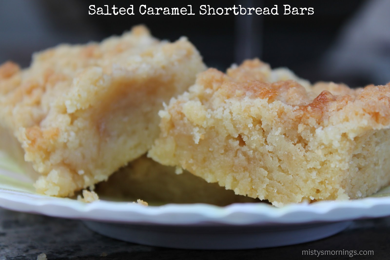 Salted Caramel Shortbread Bars {Baking With Julia}