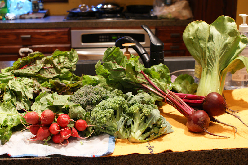 Vegan Fazool: CSA Box #2: A Veritable Vegetable Volcano
