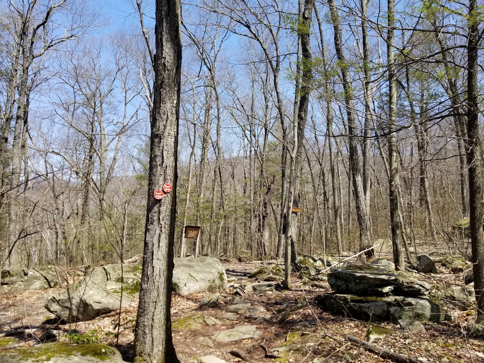 The Albany Hiker: Tramping up Tremper Mountain (Mt. Tremper)