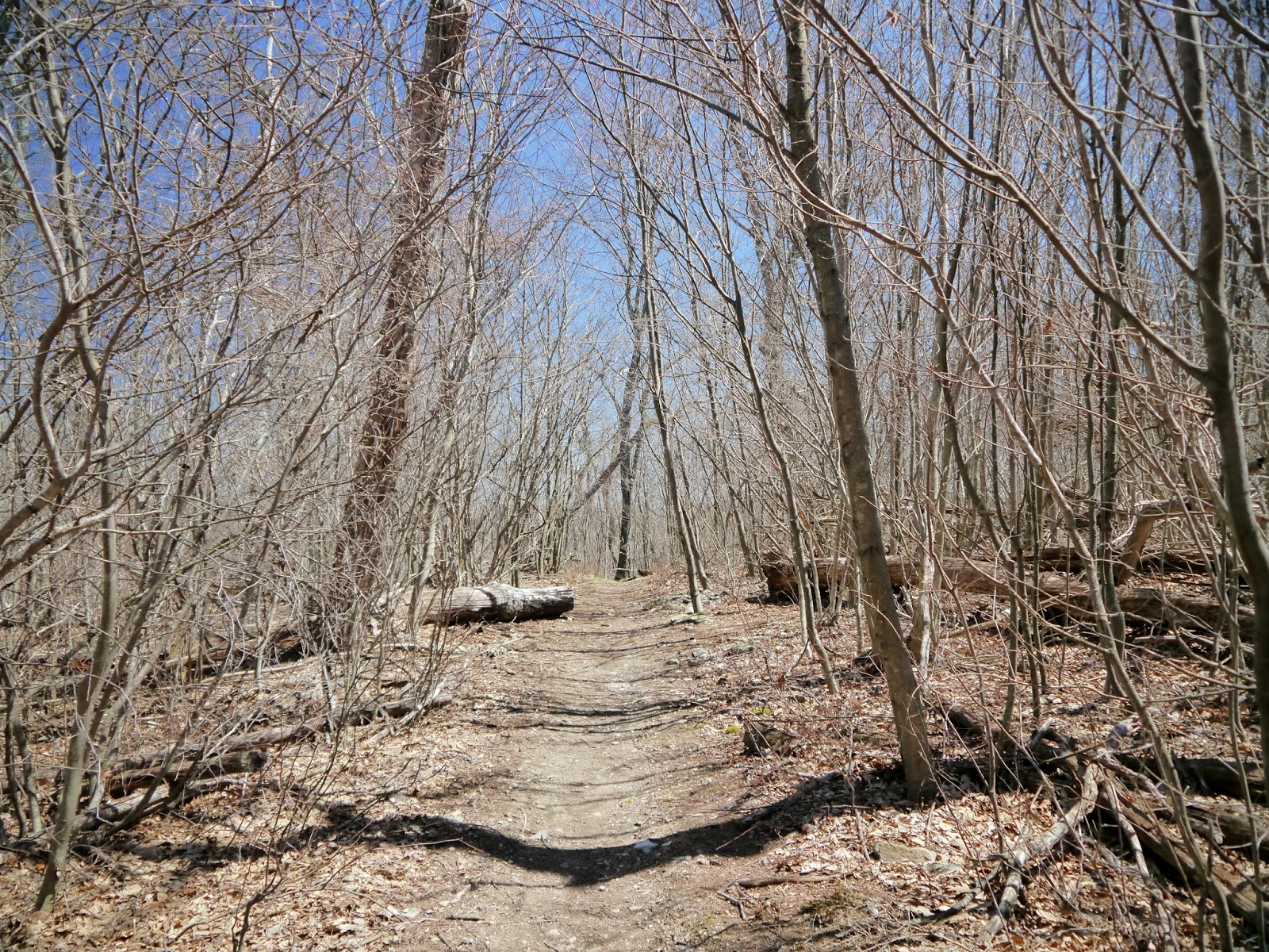 American Travel Journal: Wildcat Ridge Trailhead to Riprap Trailhead ...