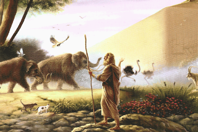 El Arca de Noé: ¿tenía capacidad para todos los animales del Génesis?