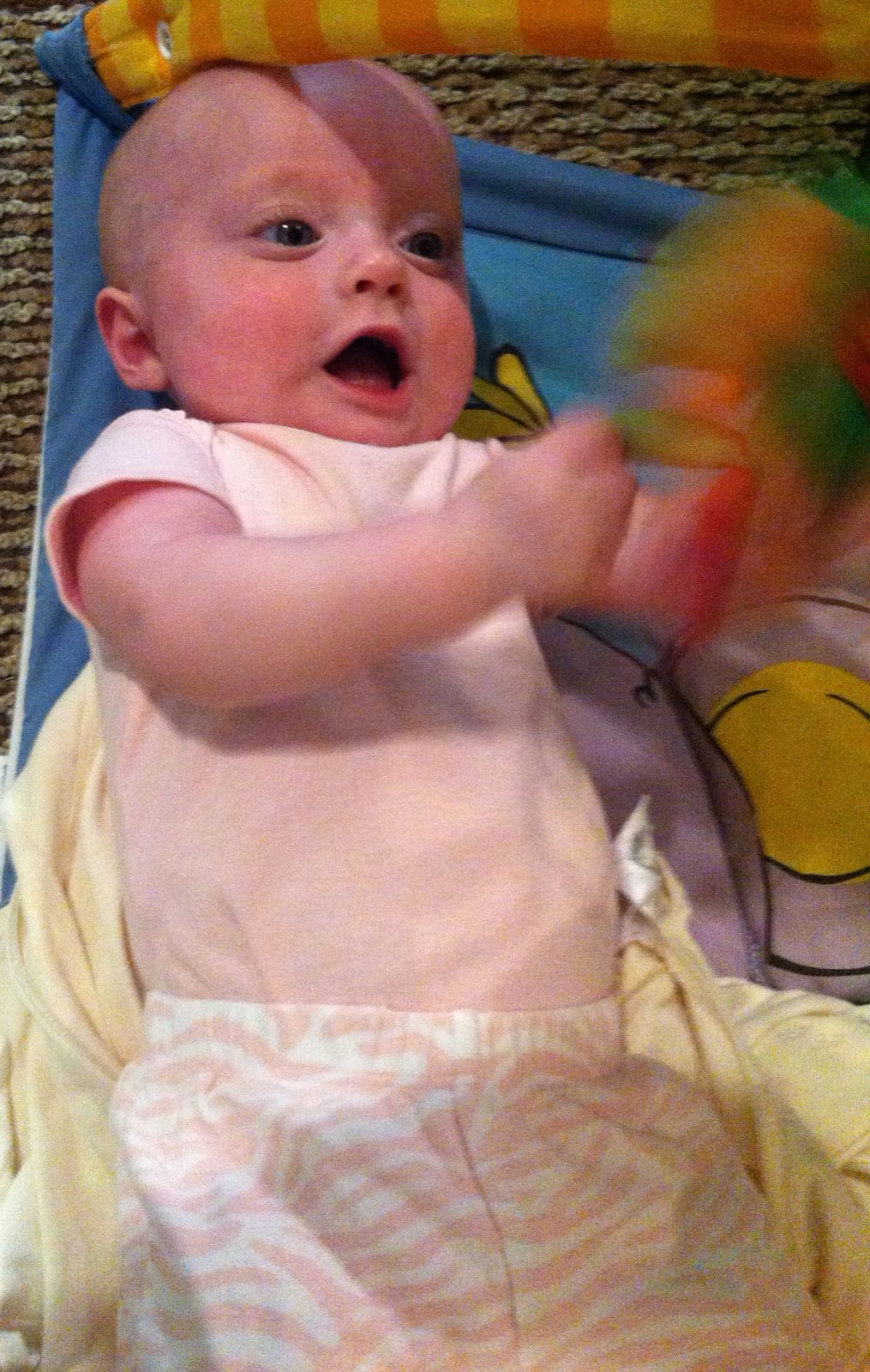 Jones' Clips: Gavin and Carrie Jones' Blog: Thankful to be thankful