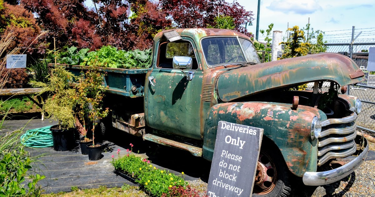 The Outlaw Gardener: Willow Tree Gardens and Interiors