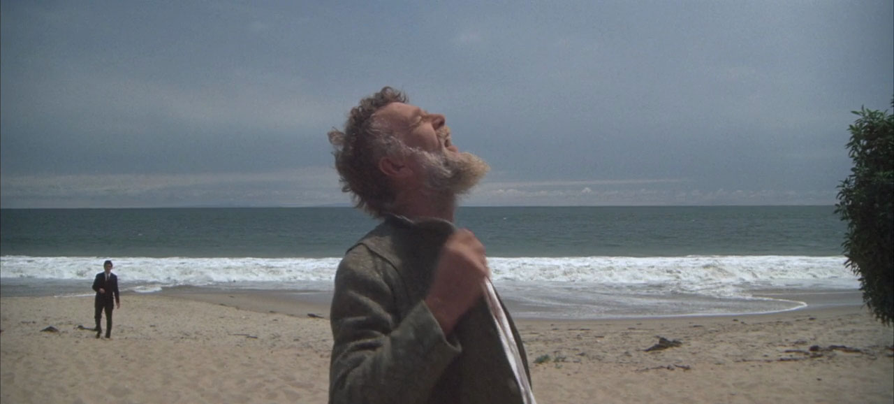 Misfortunes of Imaginary Beings: The Long Goodbye (Robert Altman, 1973)