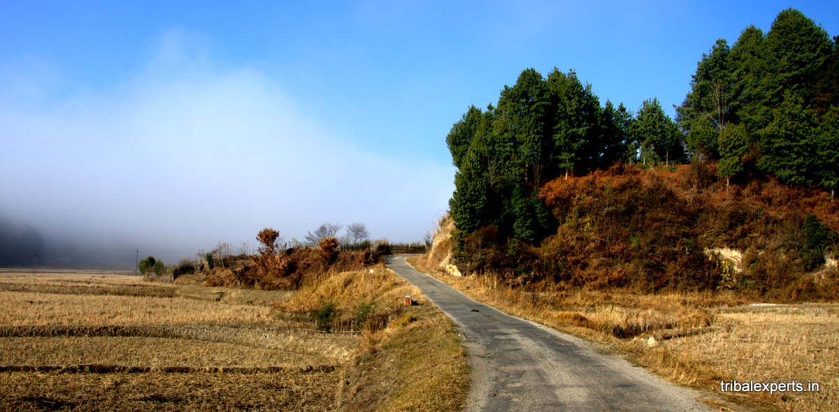 The tale of a valley